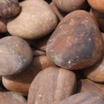 Del Rio Washed Pebbles - Bourget Bros